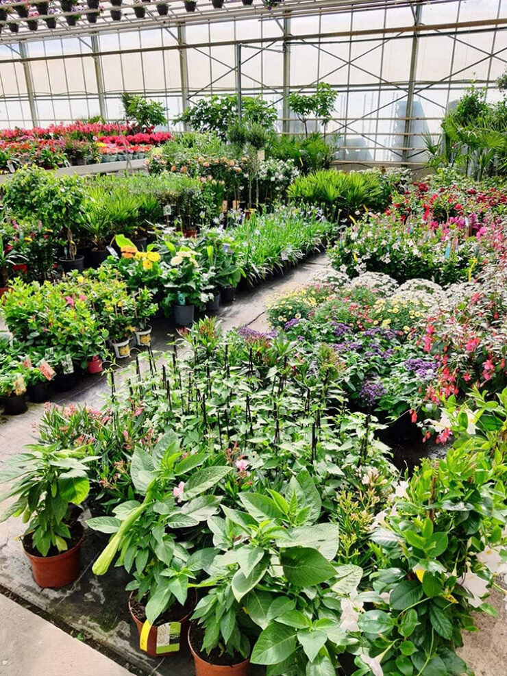 Serre Jean-Pol Rouffiange - #jejardinelocal